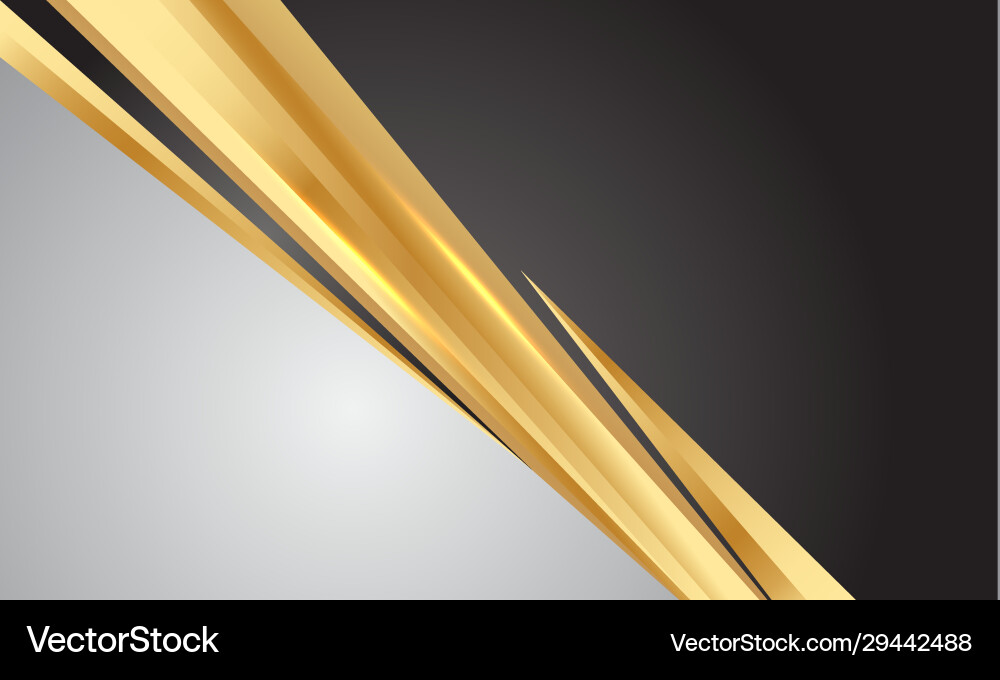Abstract gold line slash on grey dark blank space Vector Image