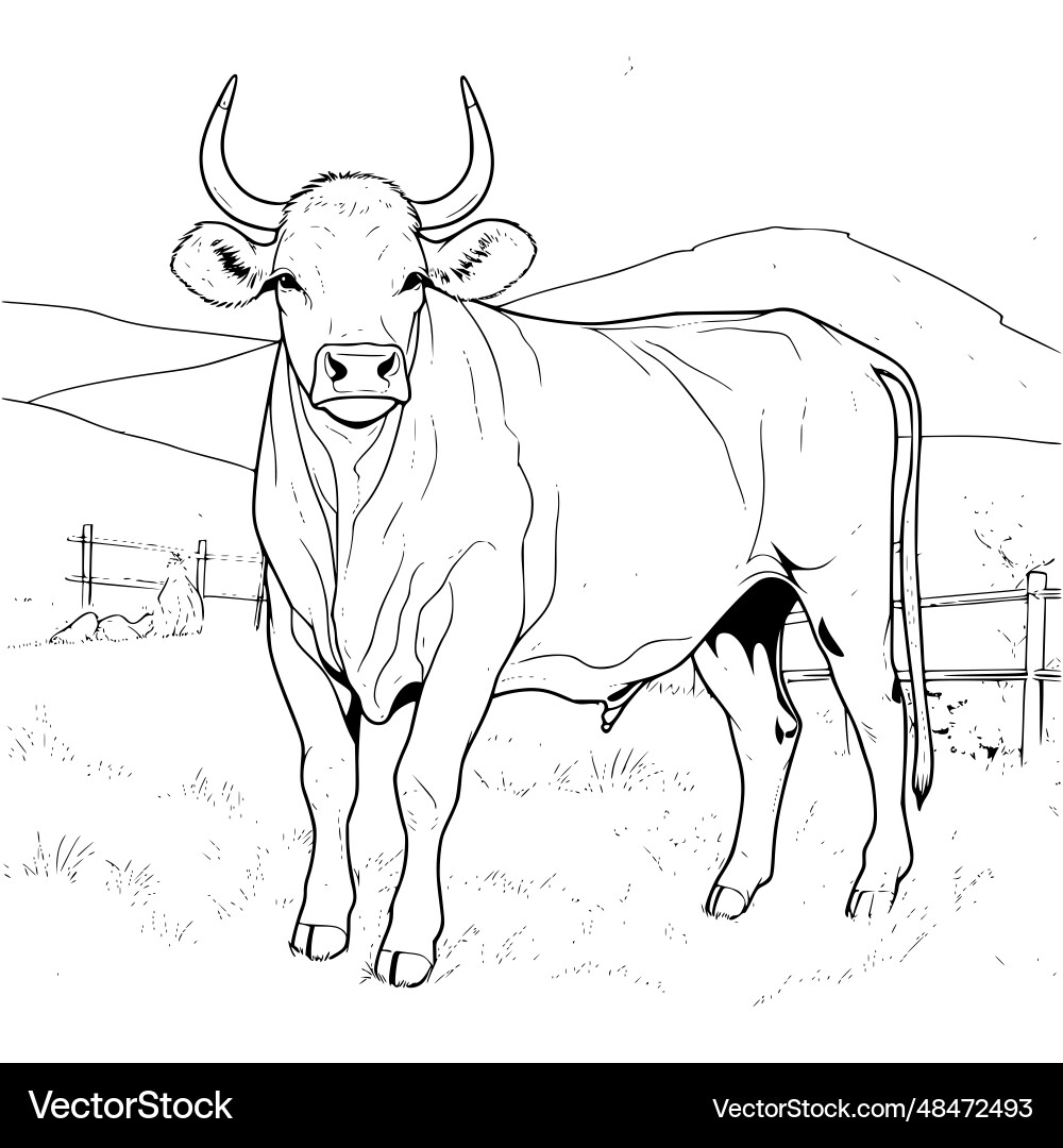 Cattle coloring pages for kids Royalty Free Vector Image