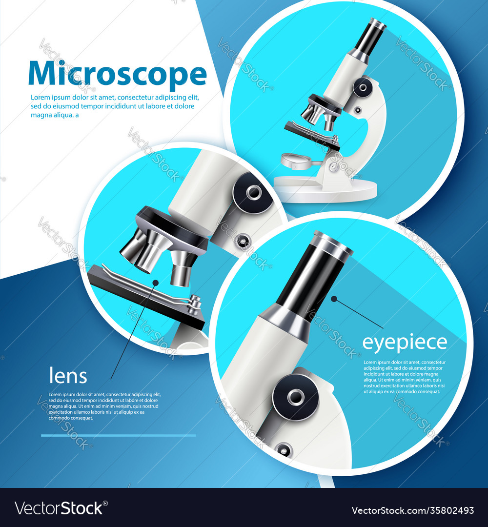 Infografik farbiges Mikroskop Lizenzfreies Vektorbild