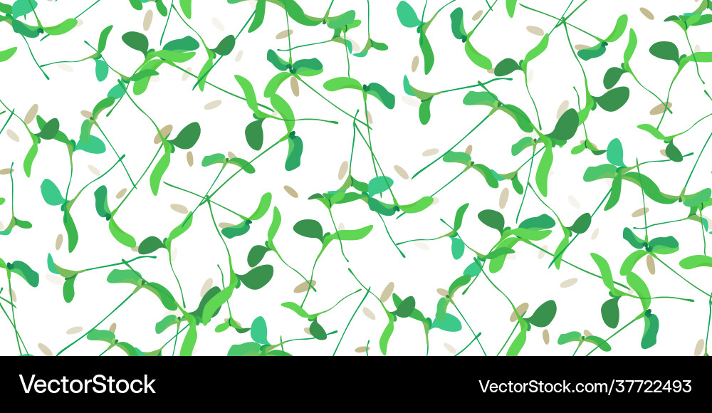 Seamless background young leaves seedlings Vector Image