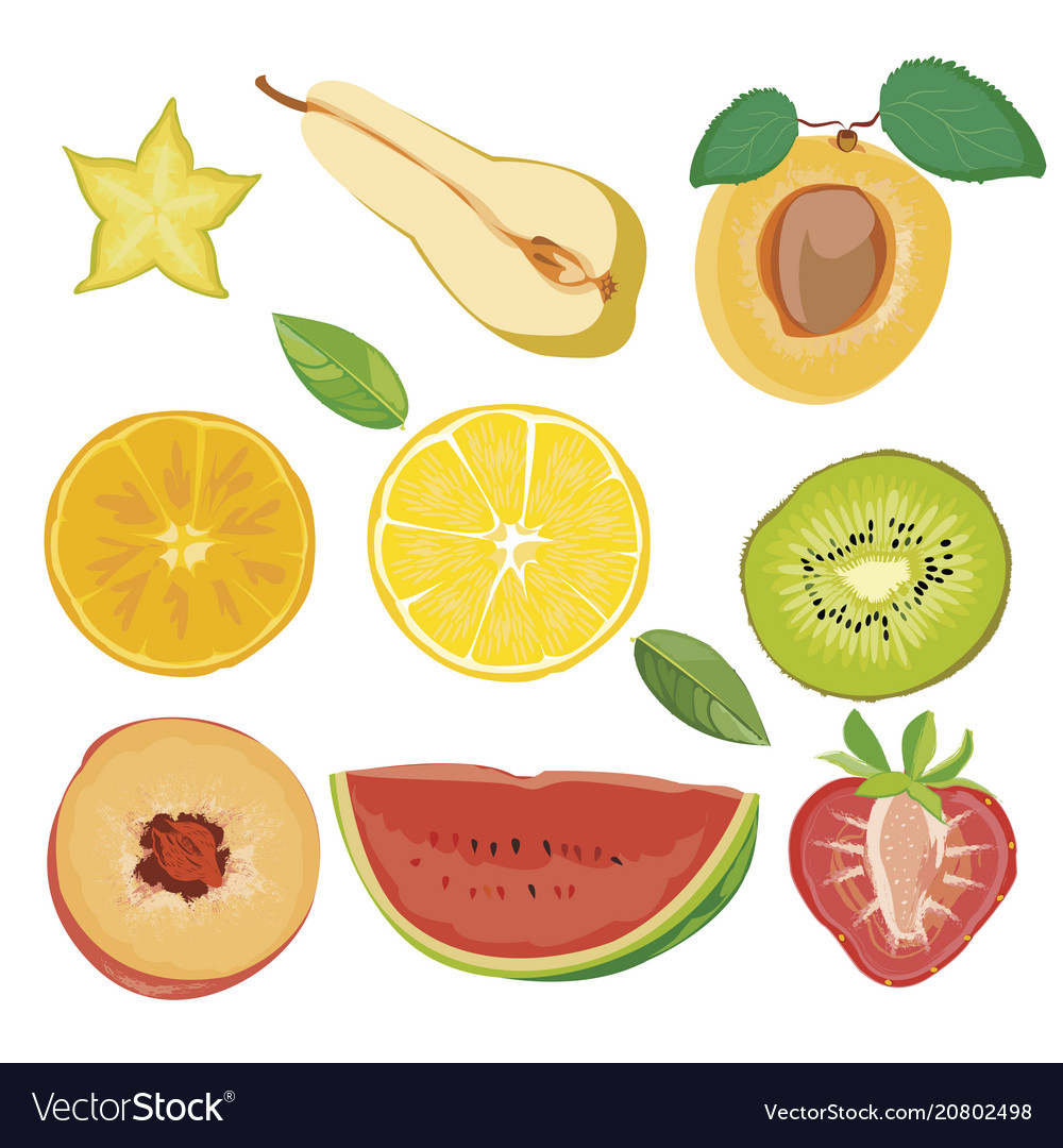 Fruits Royalty Free Vector Image - VectorStock