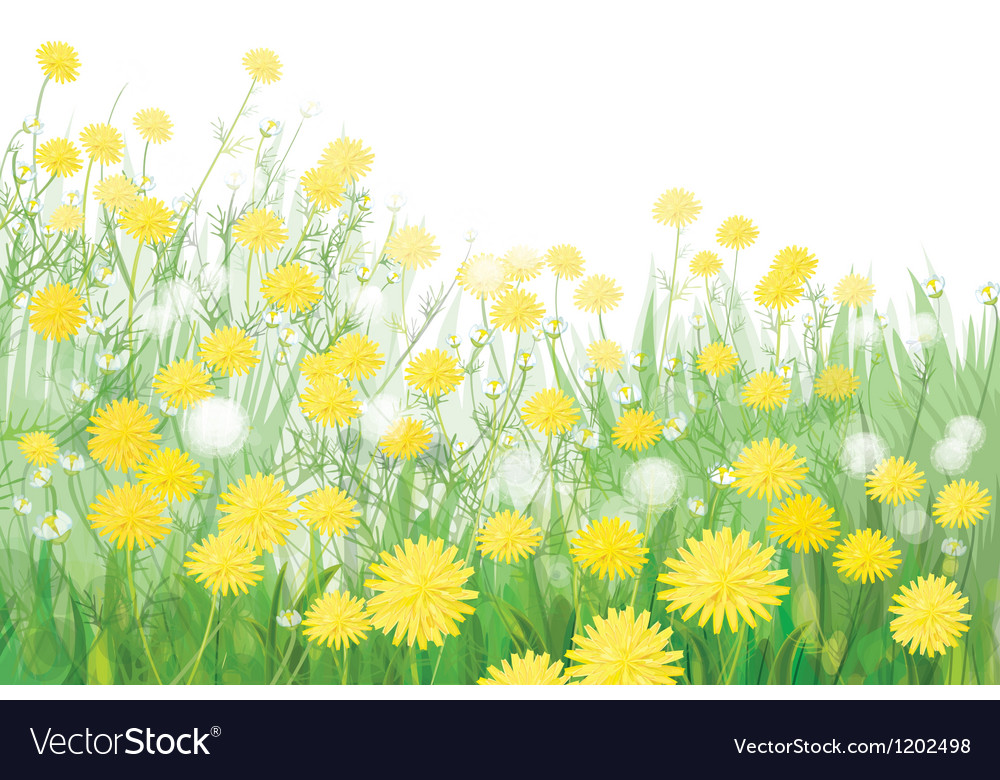 Spring flowers Royalty Free Vector Image - VectorStock