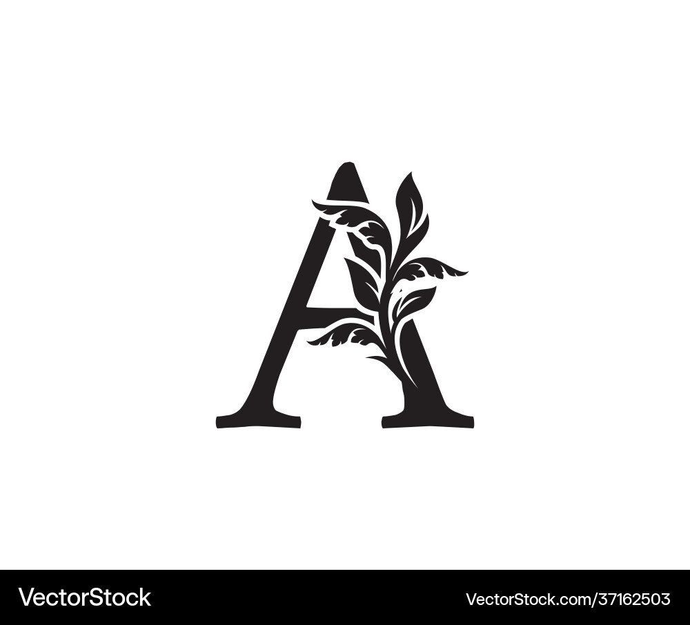 Classic letter a heraldic logo vintage Royalty Free Vector