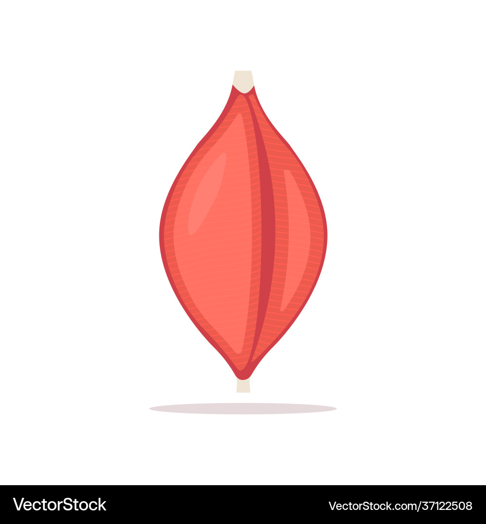 Human muscle tissue flat icon muscle Royalty Free Vector