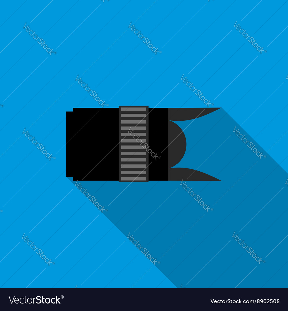 Interchangeable lens digital camera icon Vector Image