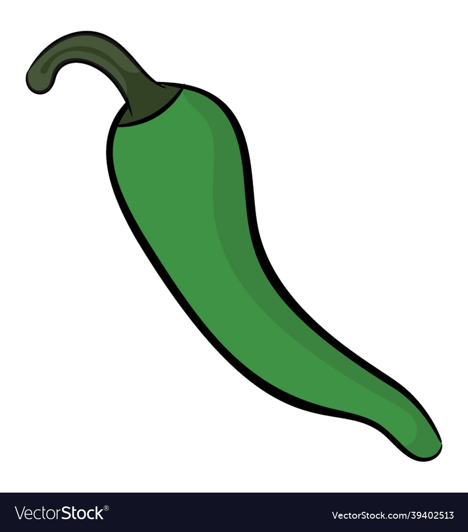 Chilli Royalty Free Vector Image - VectorStock