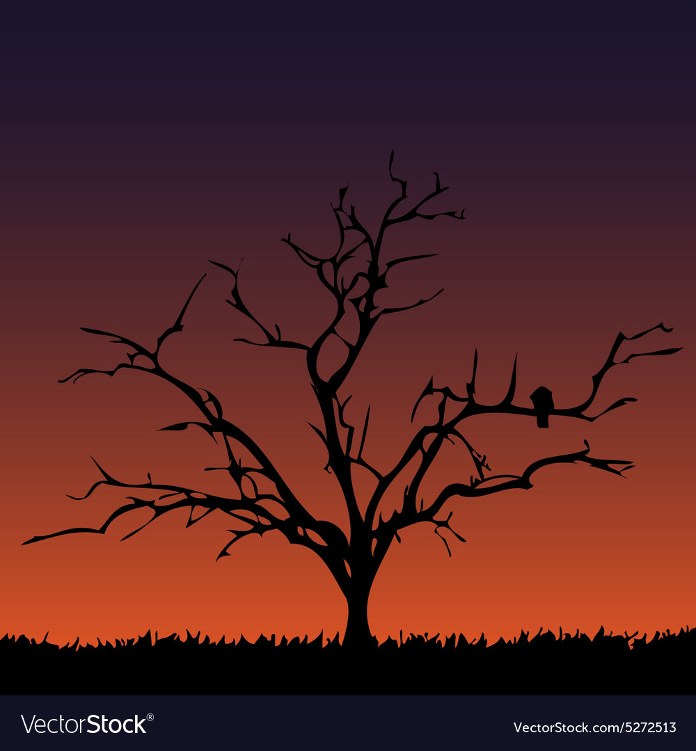 Tree and sky Royalty Free Vector Image - VectorStock