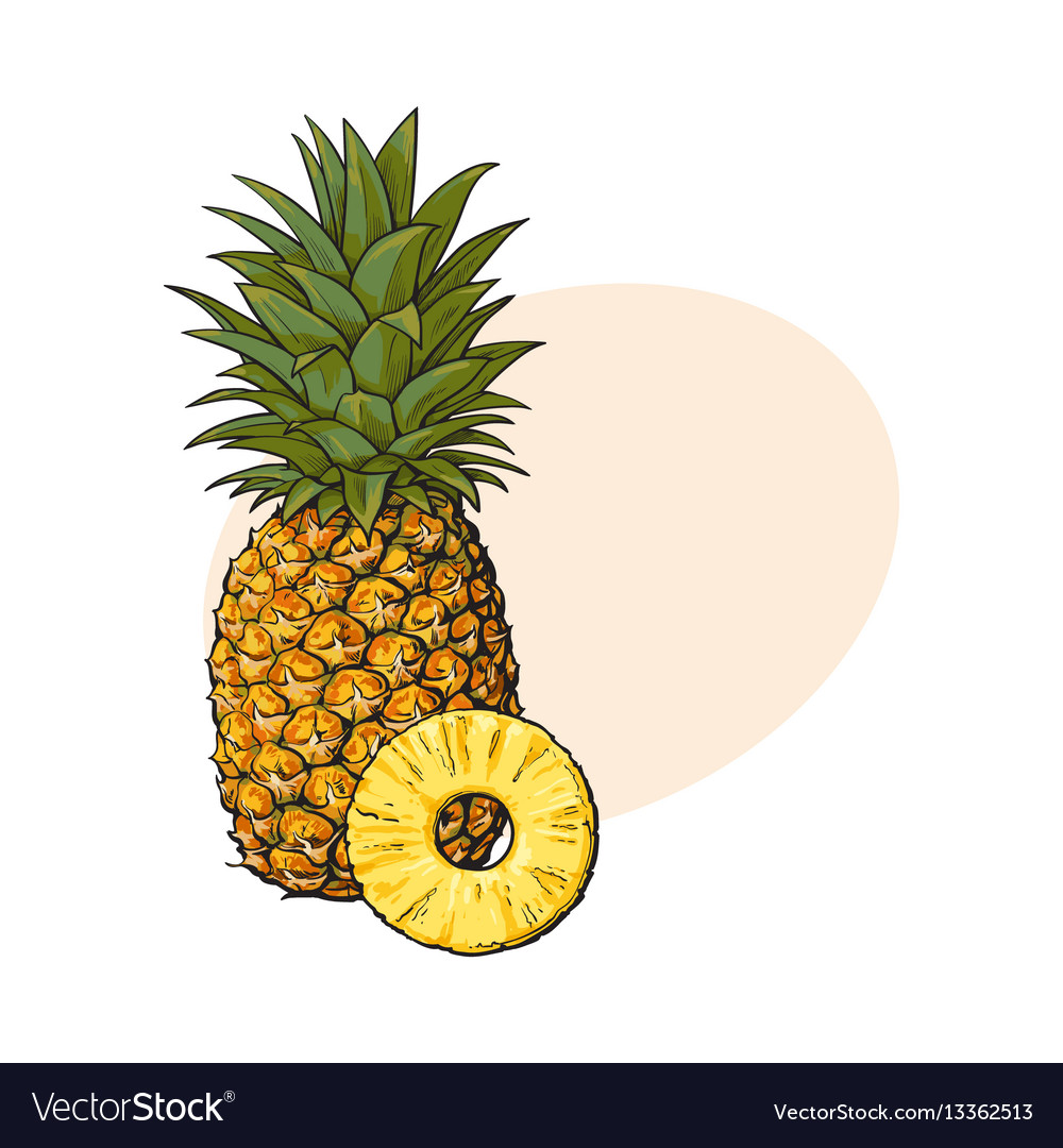 Whole unpeeled uncut vertical pineapple Royalty Free Vector Whole unpeeled uncut vertical pineapple Royalty Free Vector