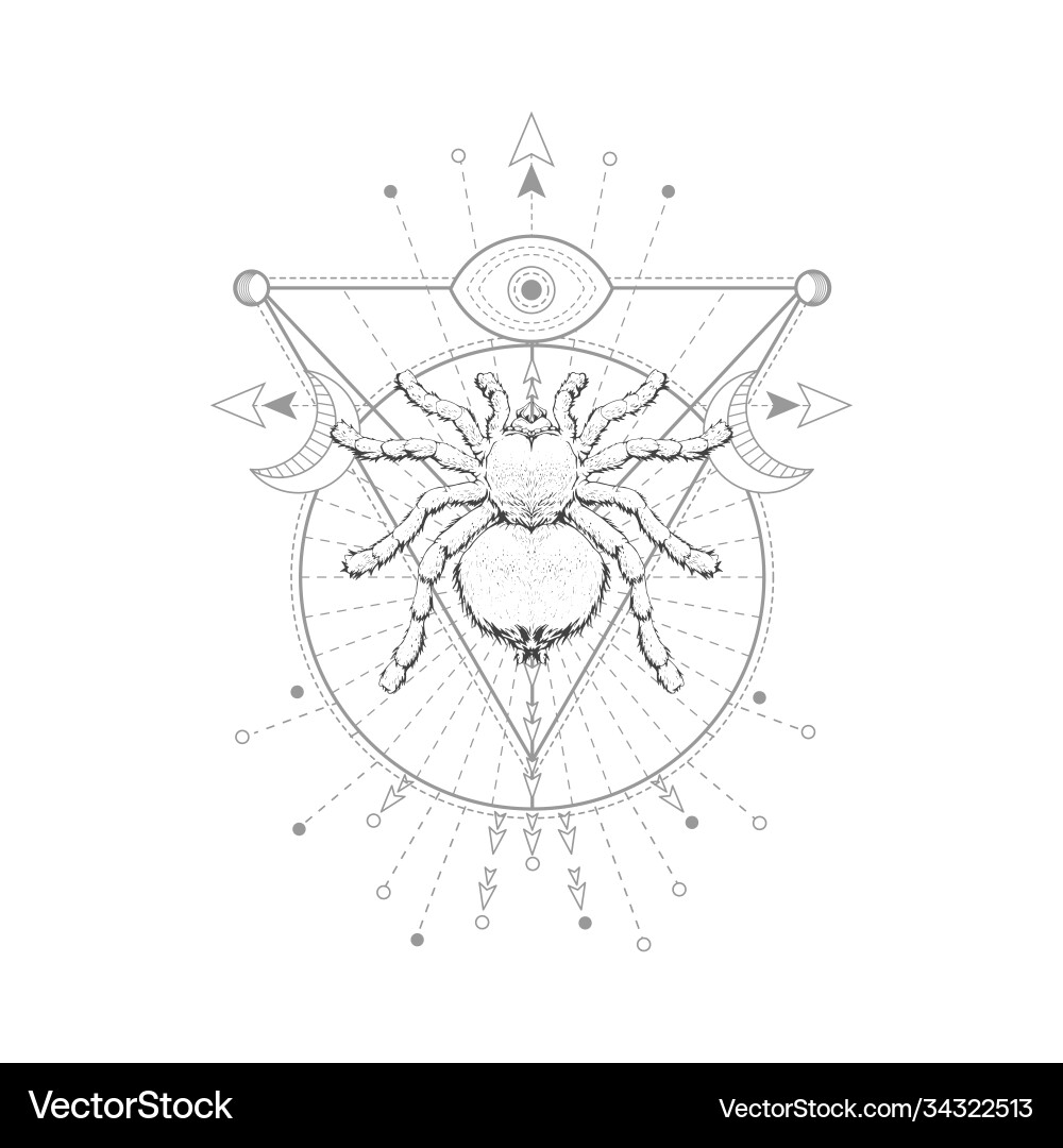With hand drawn spider and sacred geometric Vector Image