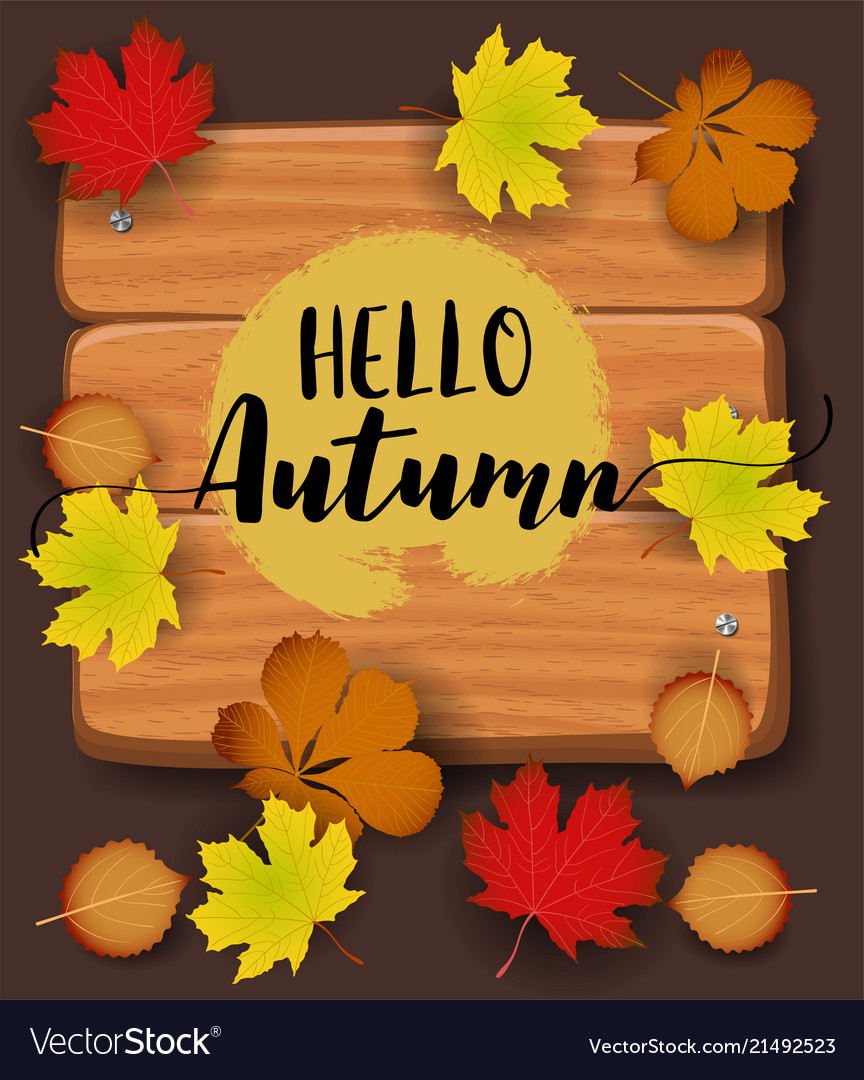 Hello autumn banner paper colorful tree leaf Vector Image