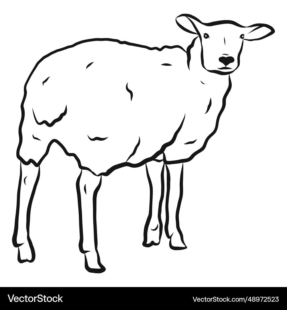 Sheep wool hoof sketch Royalty Free Vector Image