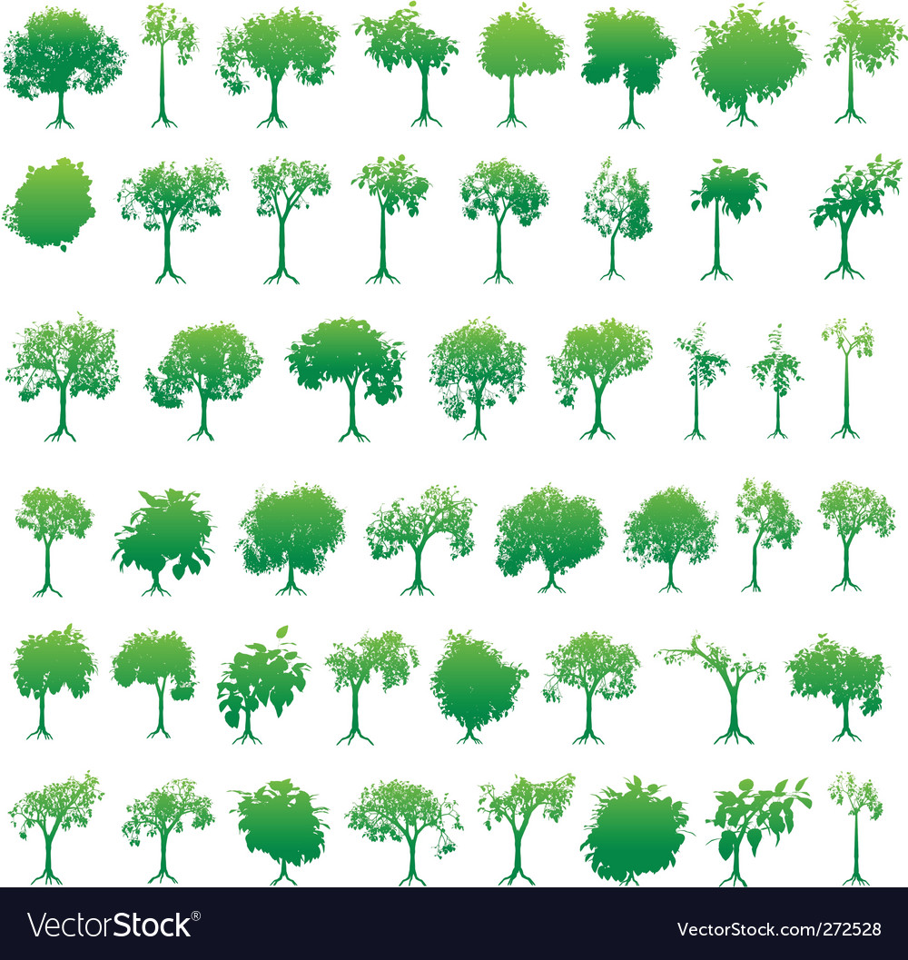 Trees Royalty Free Vector Image - VectorStock