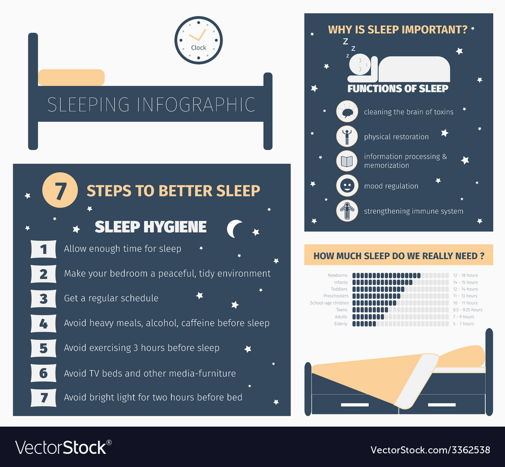 Sleep infographic Royalty Free Vector Image - VectorStock