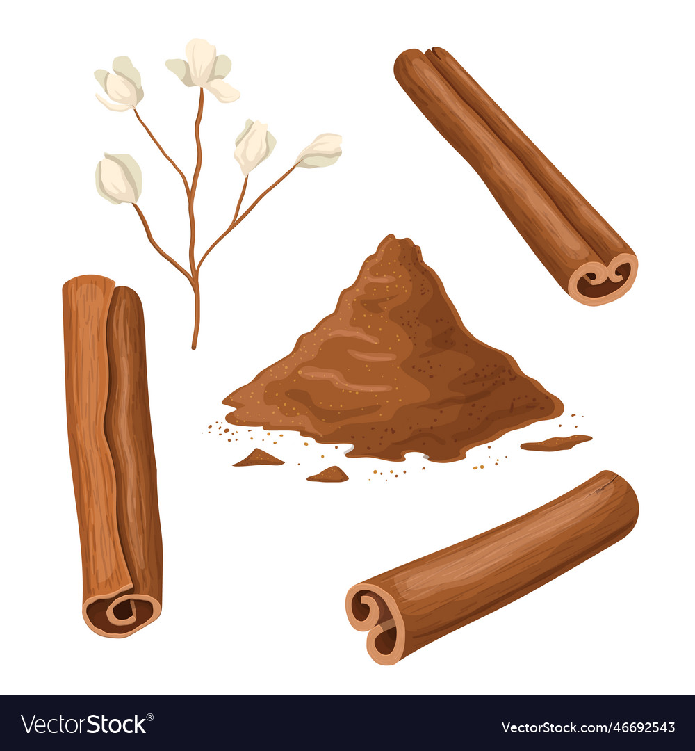 Cinnamon stick spice set cartoon Royalty Free Vector Image Cinnamon stick spice set cartoon Royalty Free Vector Image