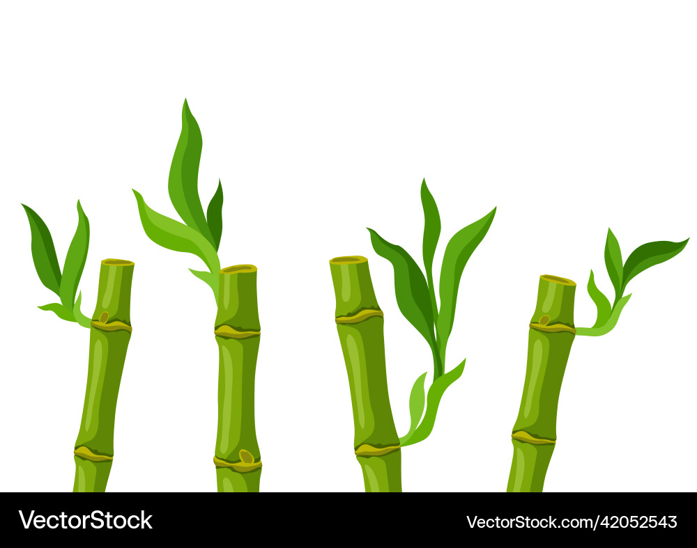 Green bamboo stems and leaves Royalty Free Vector Image