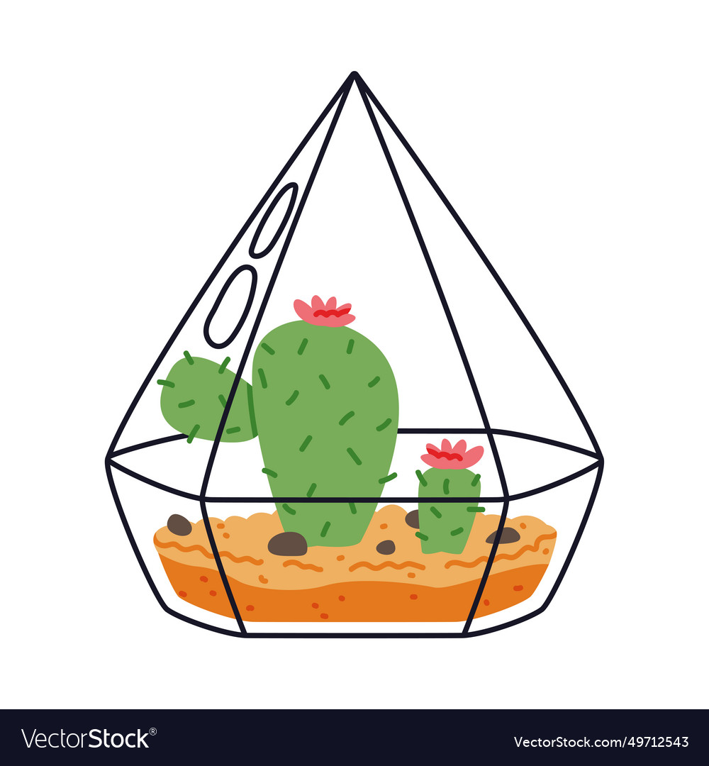 Home florarium with cactus plant in glass Vector Image
