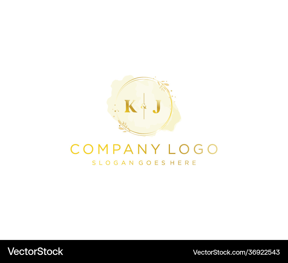 Initial kj letters colorful watercolor splash Vector Image