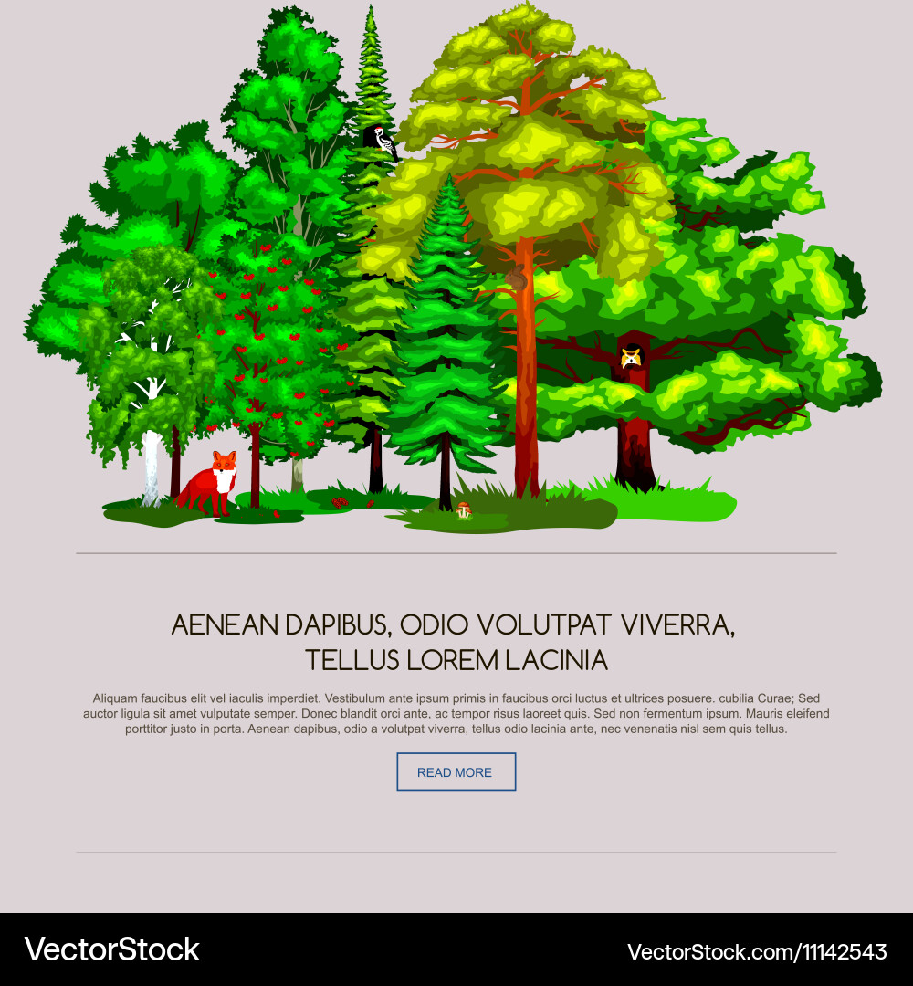Nature landscape design elements isolated with Vector Image