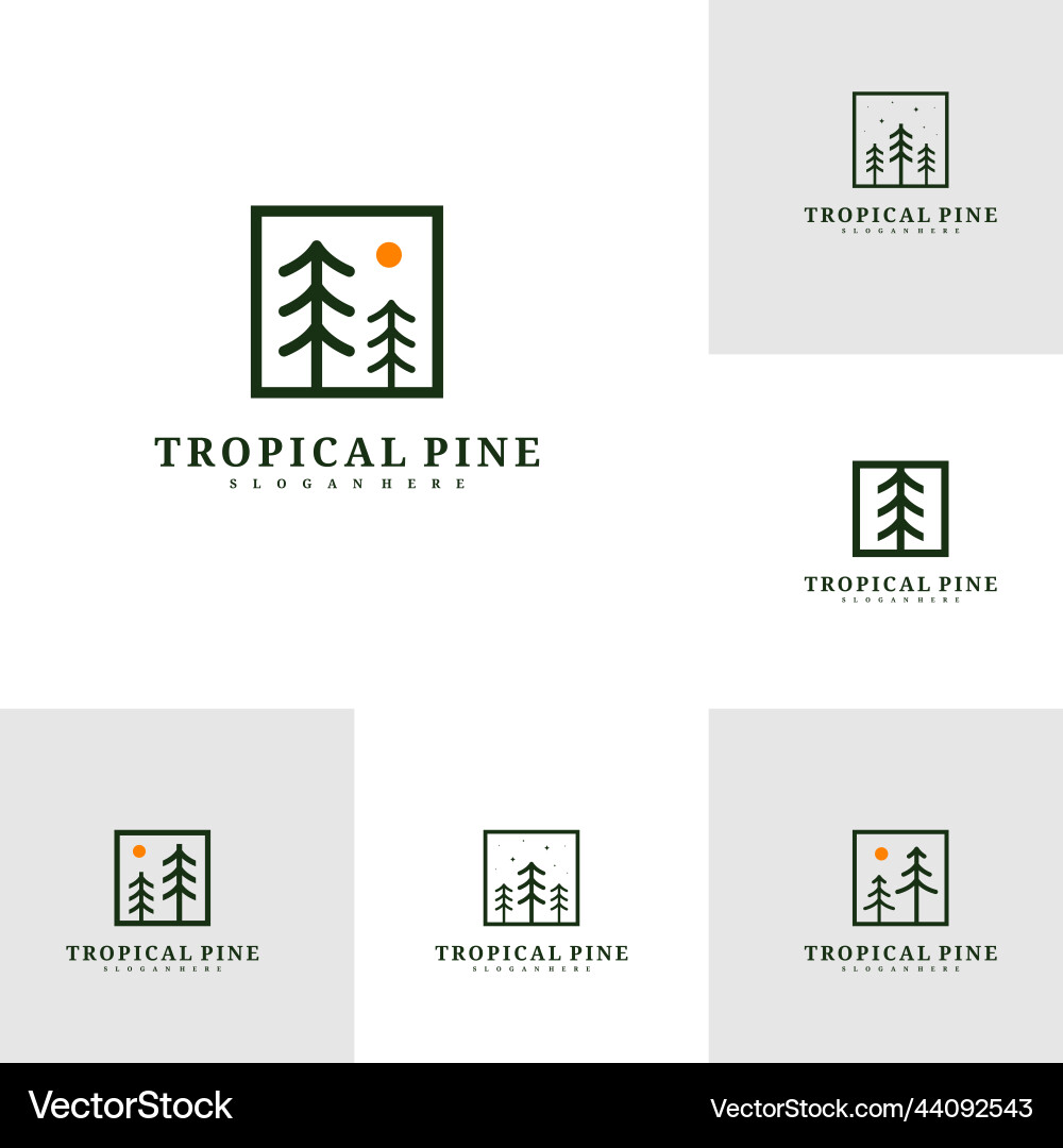 Set of pine tree logo design template tropical Vector Image