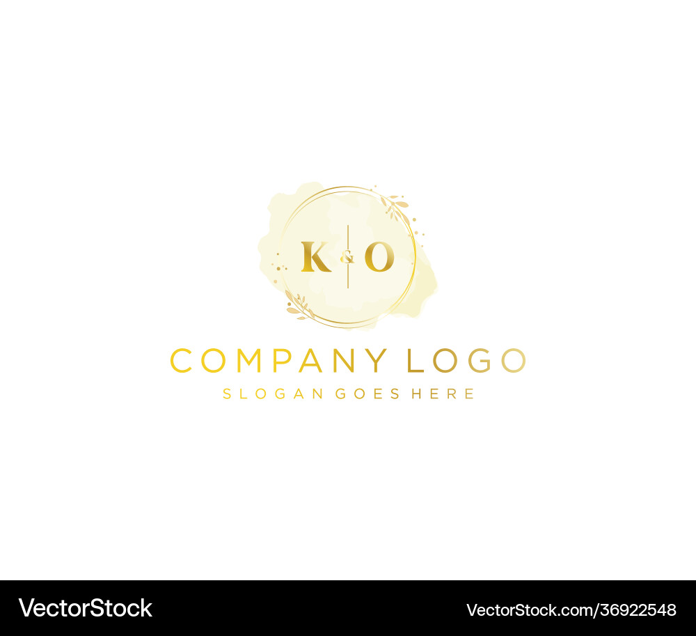 Initial ko letters colorful watercolor splash Vector Image