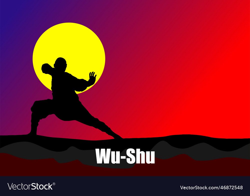 Oriental combat sports wu-shu colored 3d Vector Image