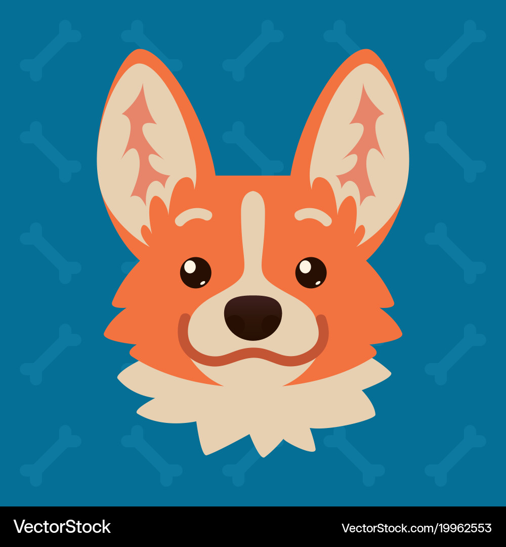 Corgi dog emotional head Royalty Free Vector Image