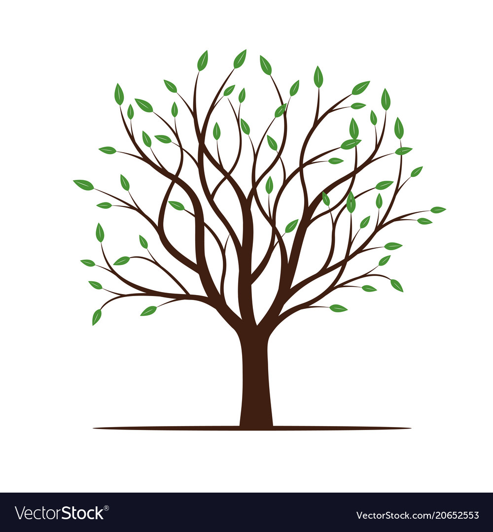 Spring tree with green leafs Royalty Free Vector Image