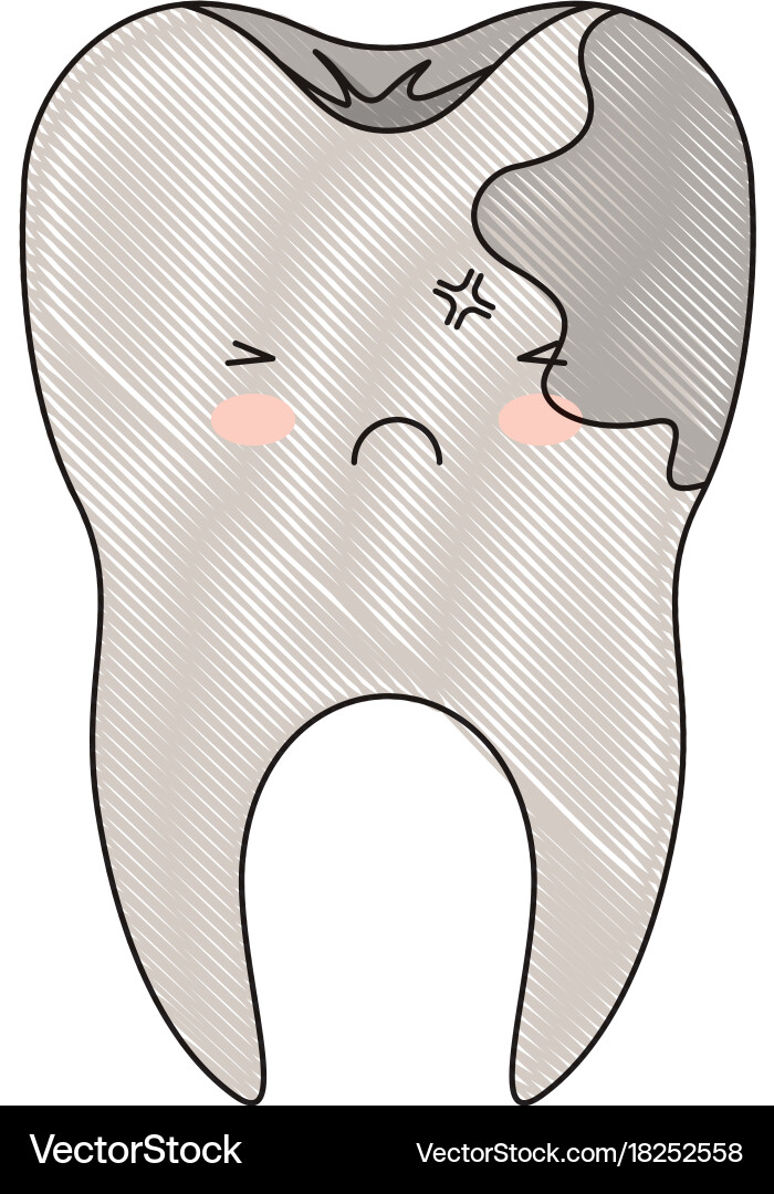 Kawaii tooth with root and caries by side Vector Image