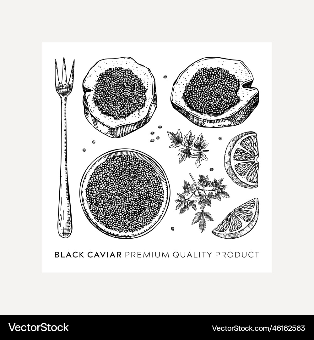 Hand-drawn caviar sketches set isolated on white Vector Image