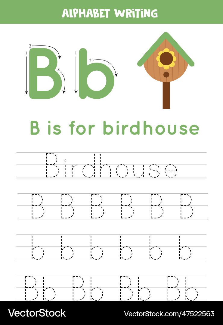 Learning to write letters for preschool kids b Vector Image