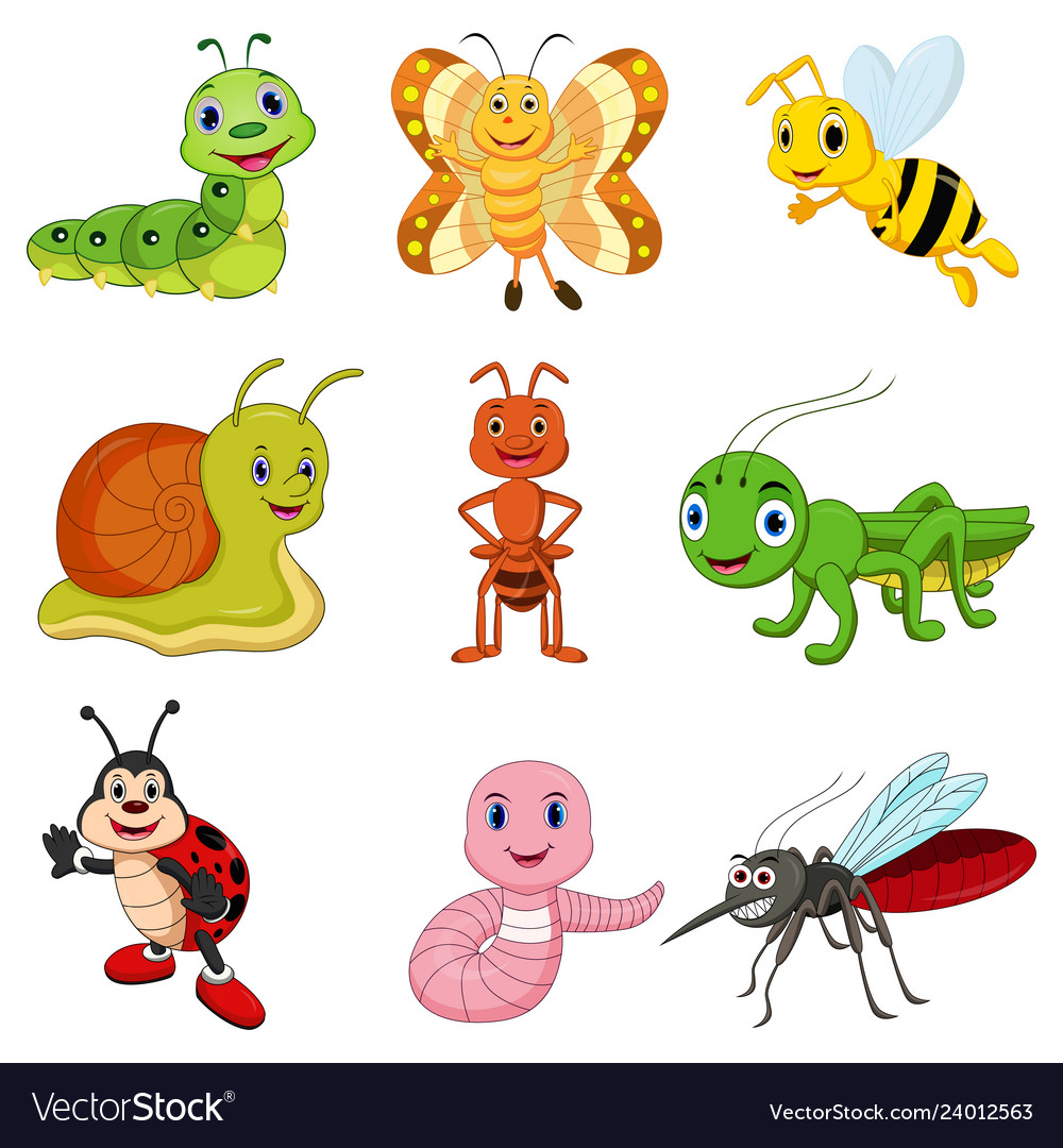 Set insects Royalty Free Vector Image - VectorStock
