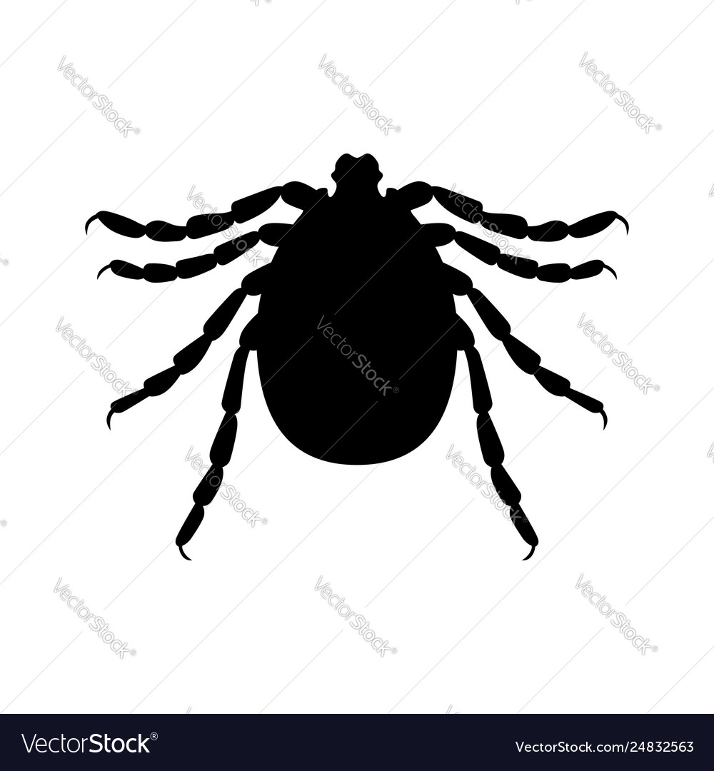 Tick Royalty Free Vector Image - VectorStock
