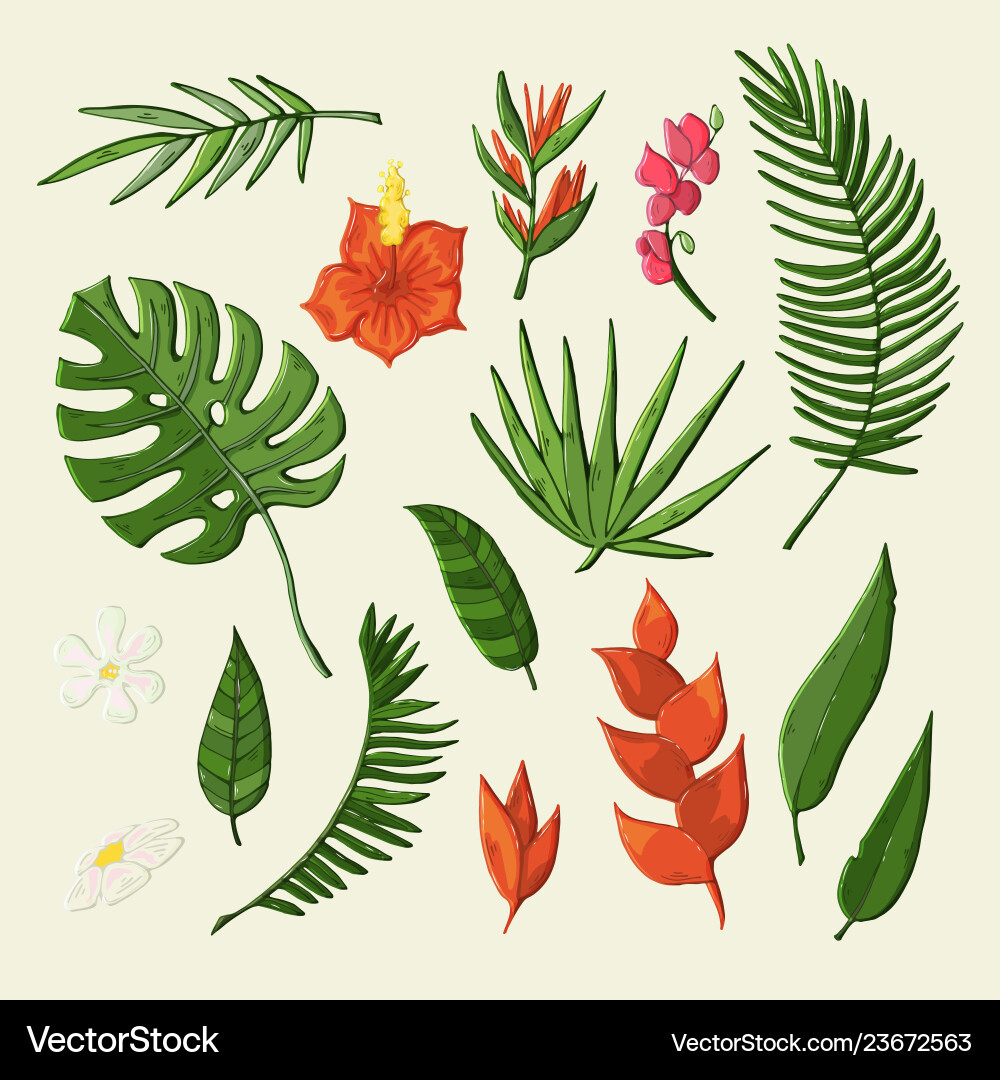 Tropical flowers and leaves object set Royalty Free Vector