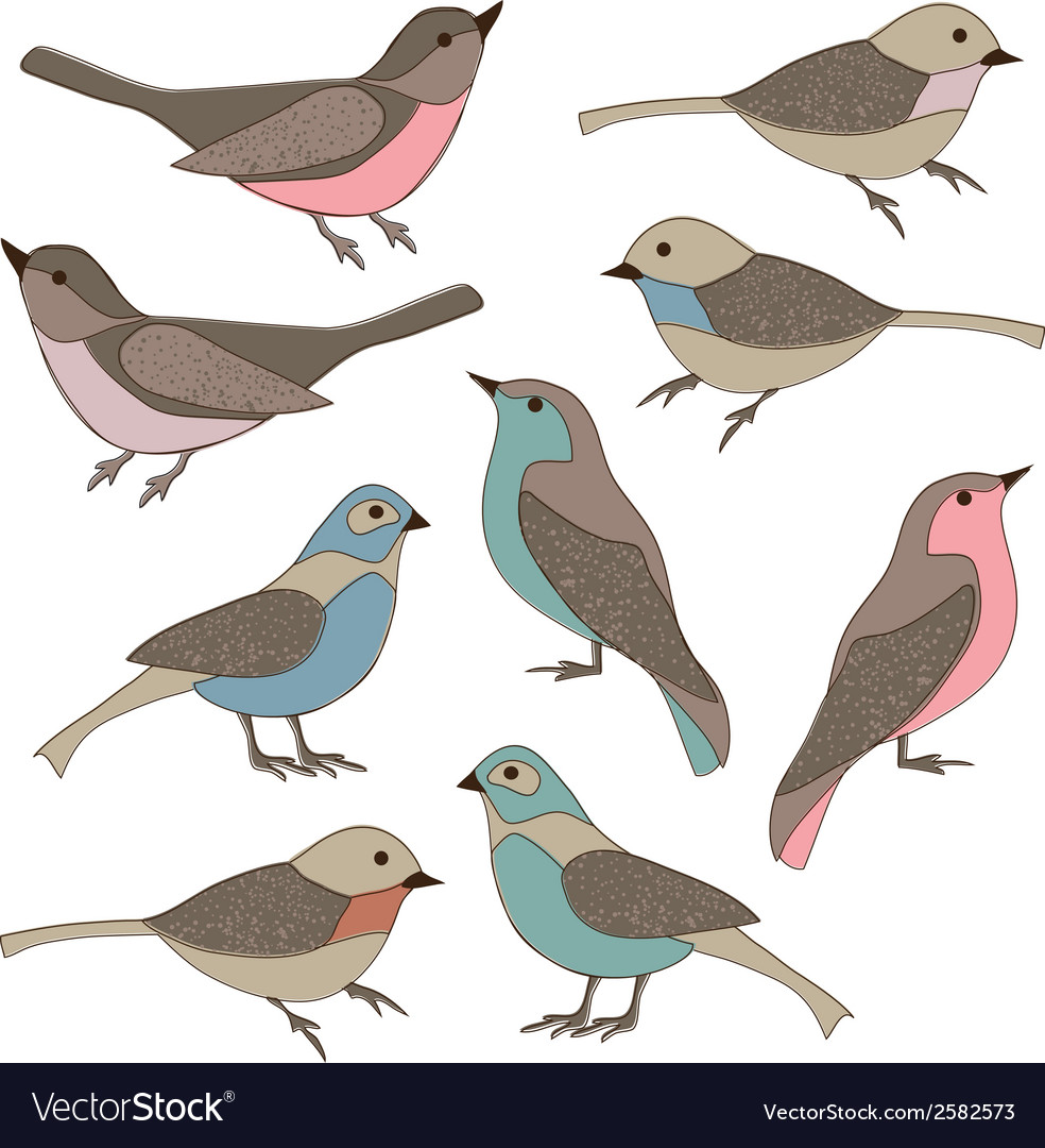 Birds Royalty Free Vector Image - VectorStock