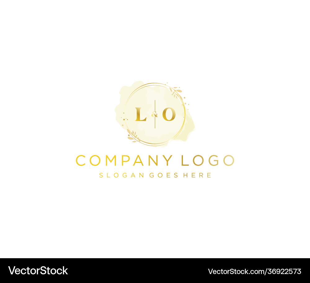 Initial lo letters colorful watercolor splash Vector Image