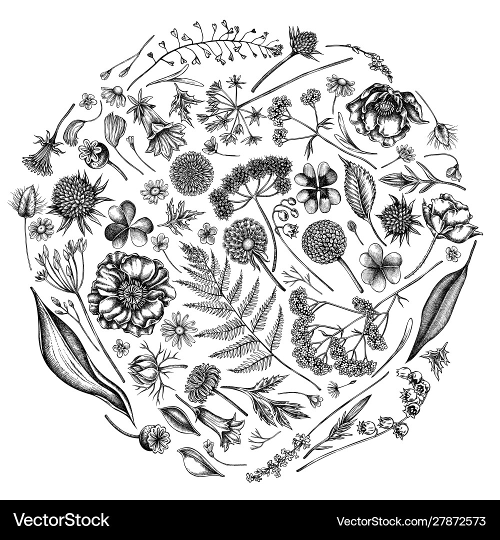 Round floral design with black and white shepherd Vector Image
