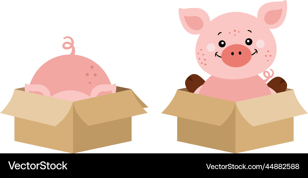 Cute pig in cardboard box Royalty Free Vector Image