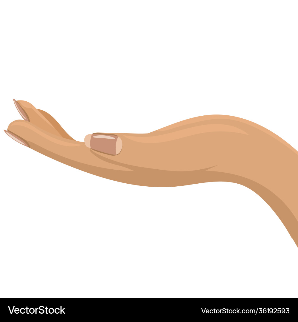 Female or woman hand opened and side view flat Vector Image
