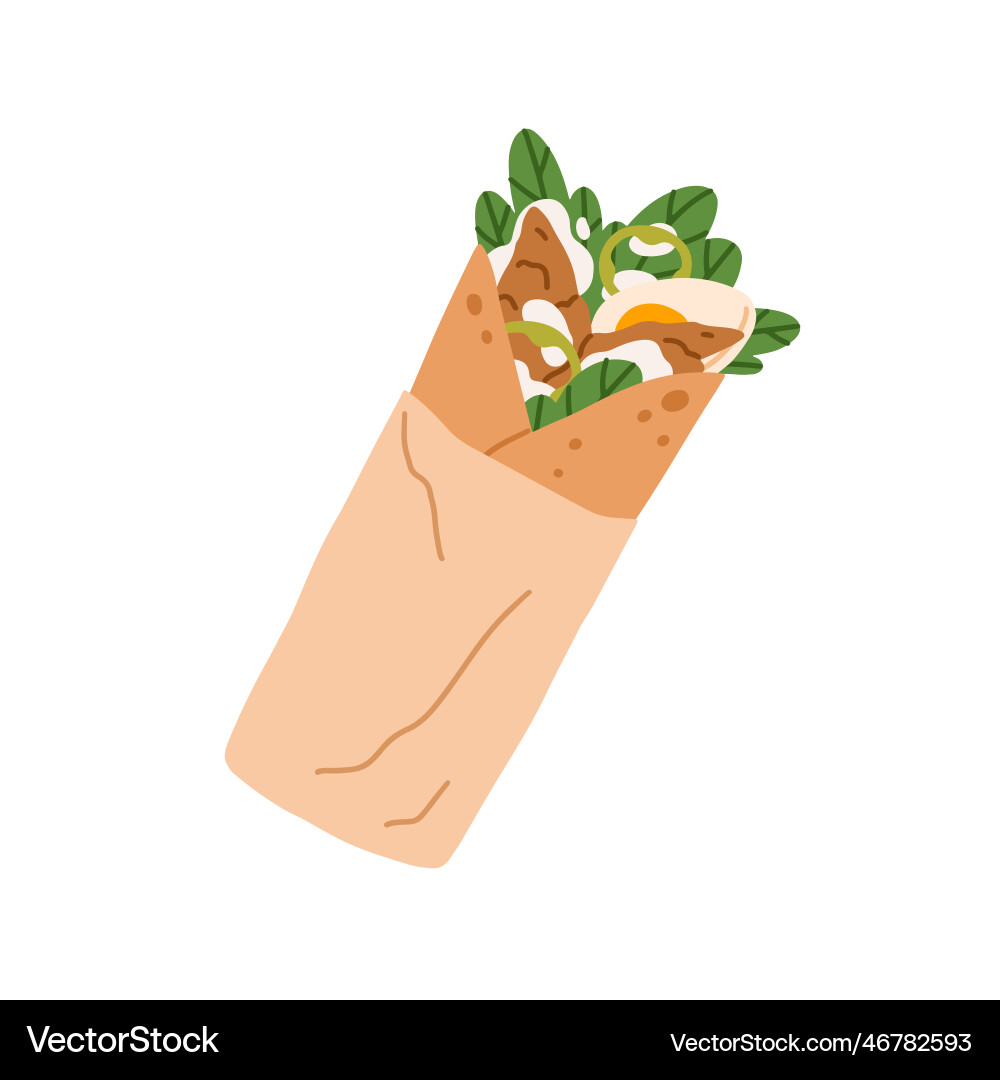 Shawarma wrap kebab roll in takeaway paper Vector Image