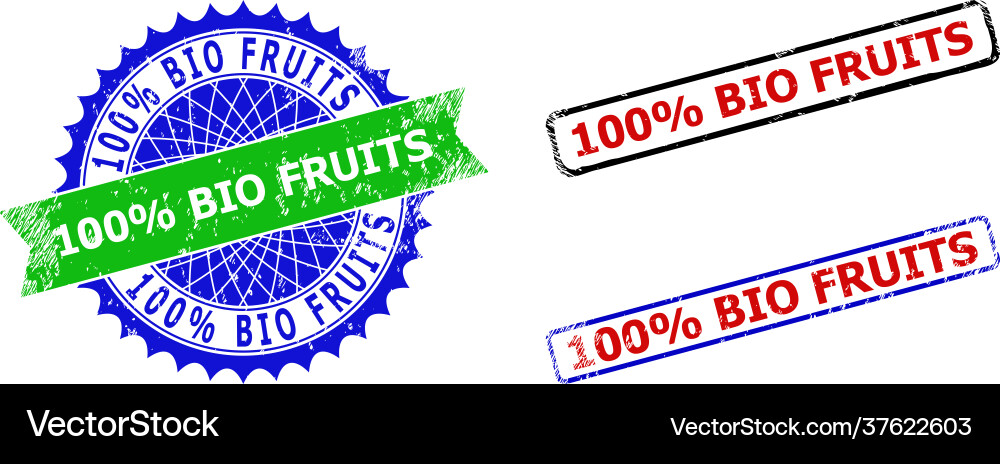 100 percents bio fruits rosette and rectangle Vector Image