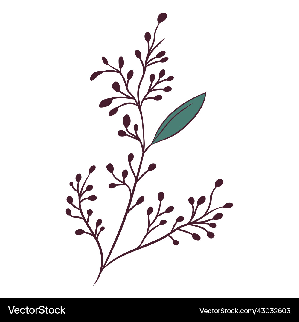 Branch with leaf color-stroke Royalty Free Vector Image
