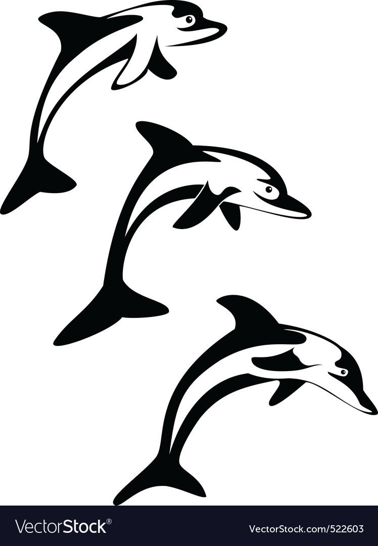 Dolphin Royalty Free Vector Image - VectorStock