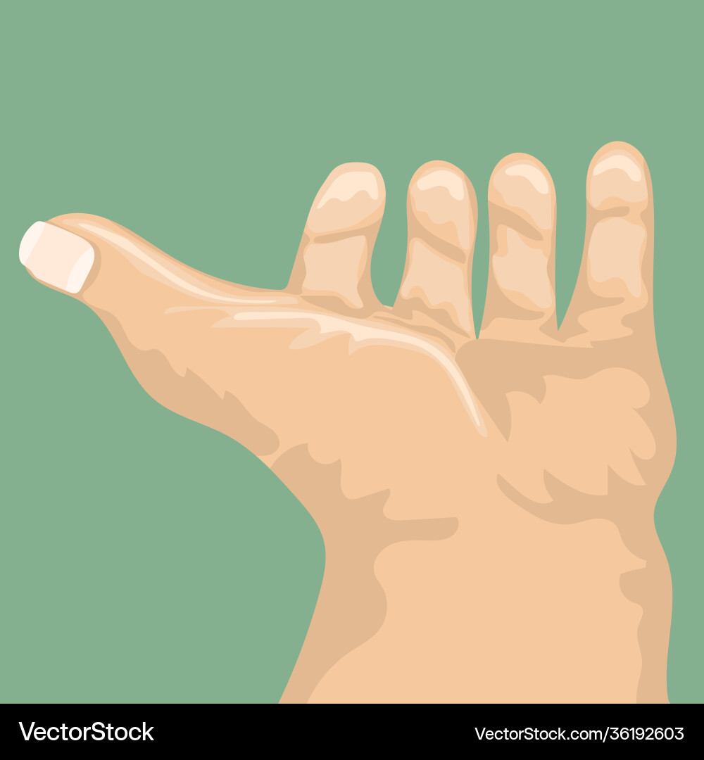 Opened male hand from back view cartoon style Vector Image
