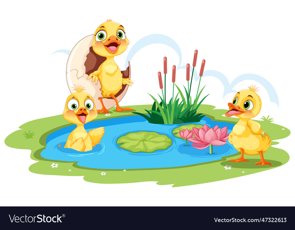 Cute ducks in the pond Royalty Free Vector Image