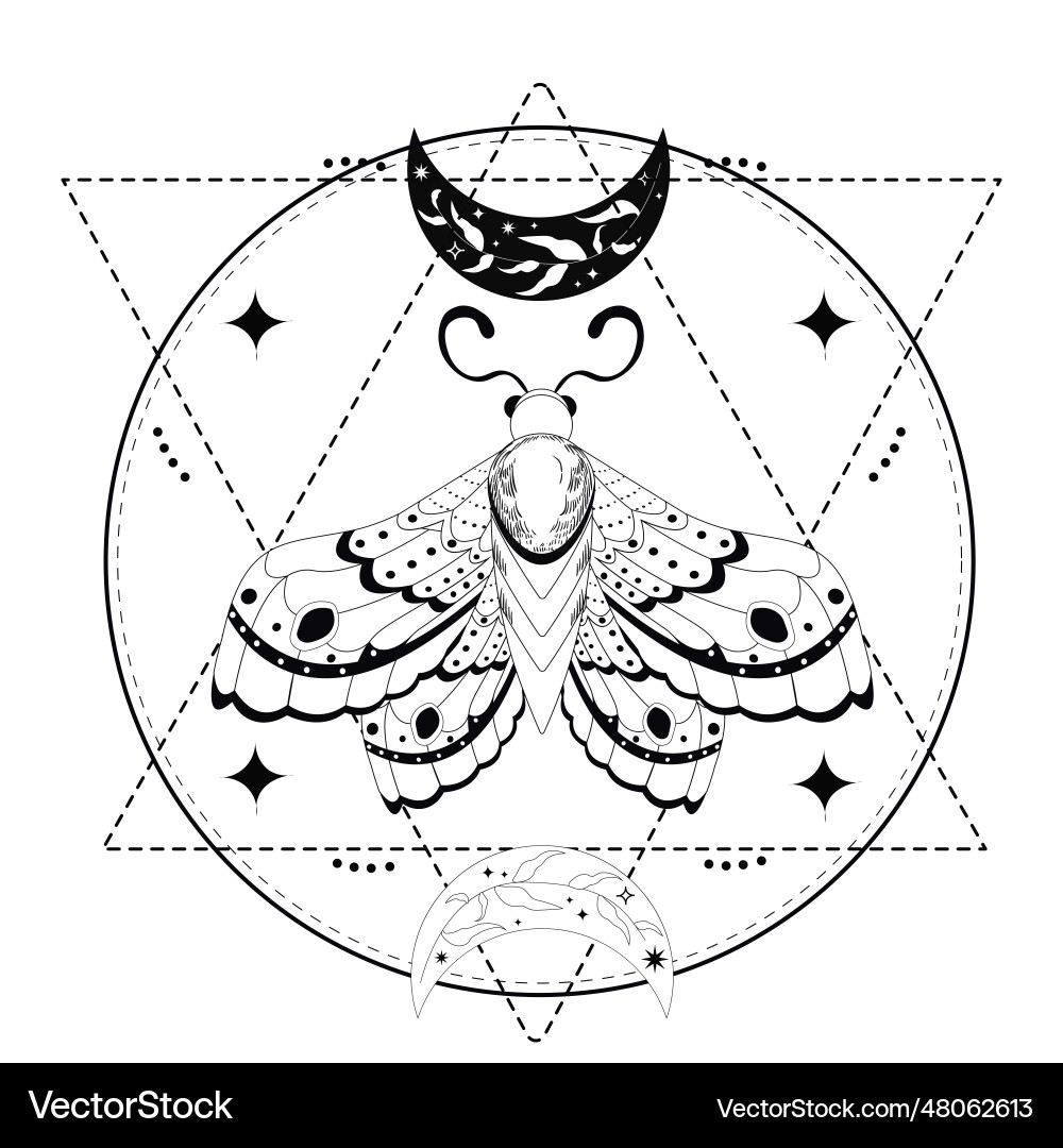 Magic mystic moth in doodle style line art Vector Image