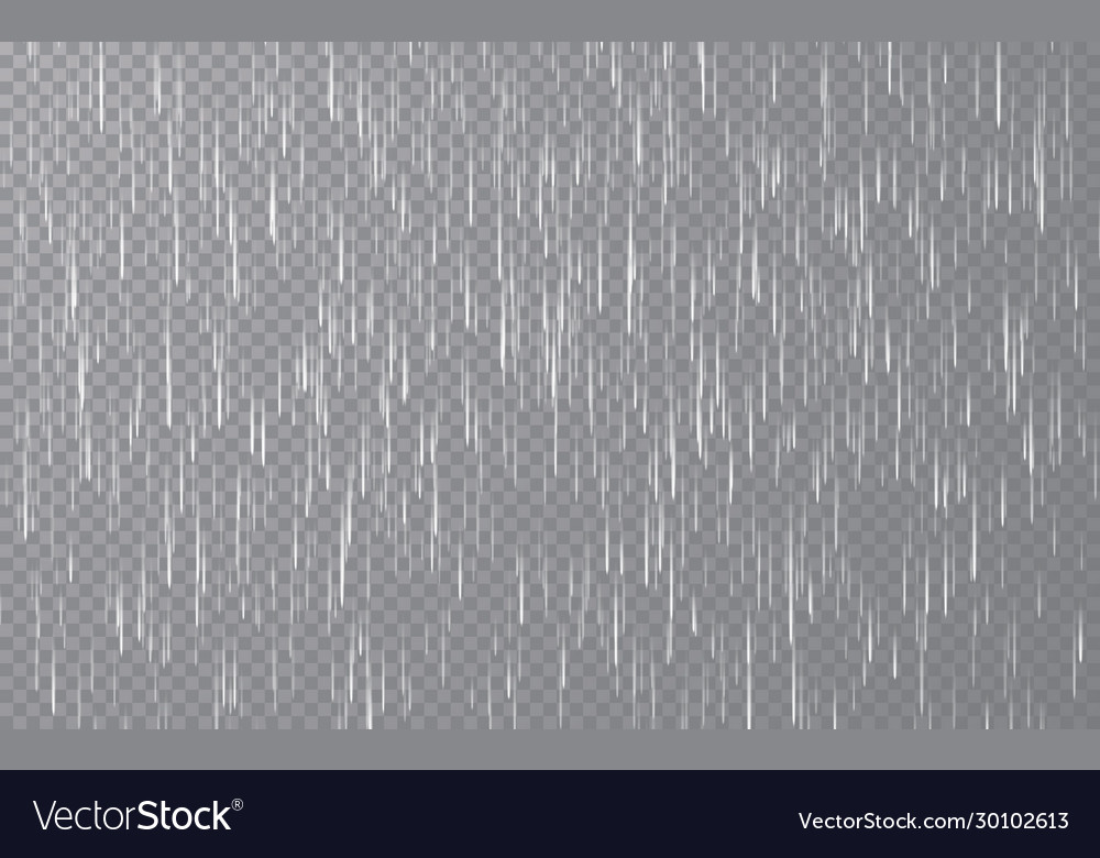 Rain drops on transparent background falling Vector Image