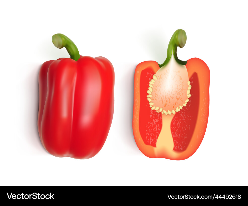 Realistic fresh red bell pepper isolated on white Vector Image