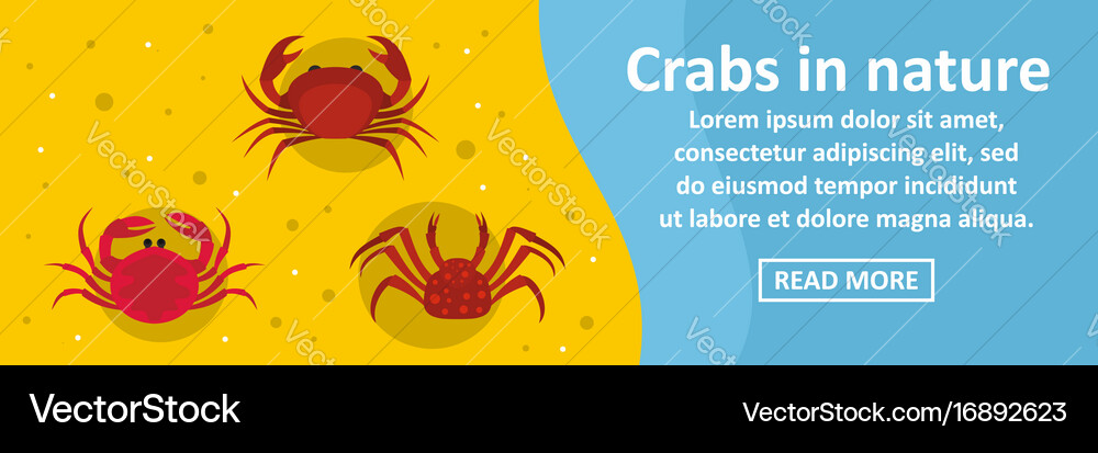 Crabs in nature banner horizontal concept Vector Image