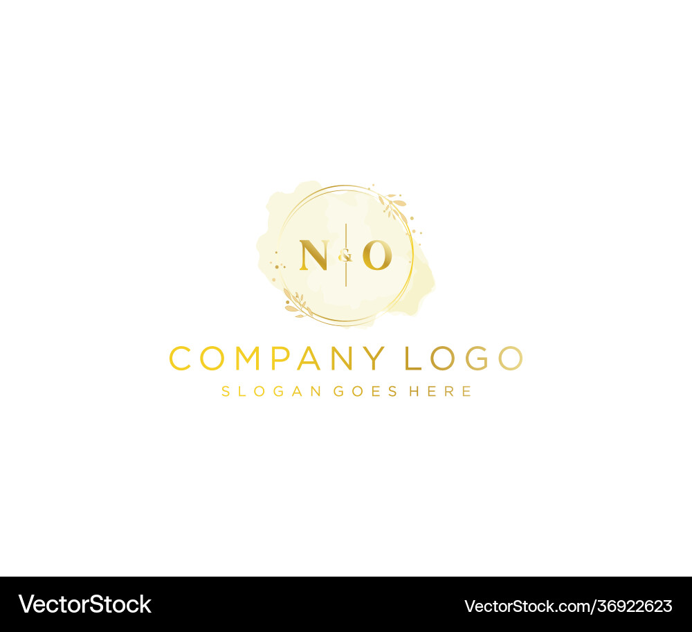 Initial no letters colorful watercolor splash Vector Image