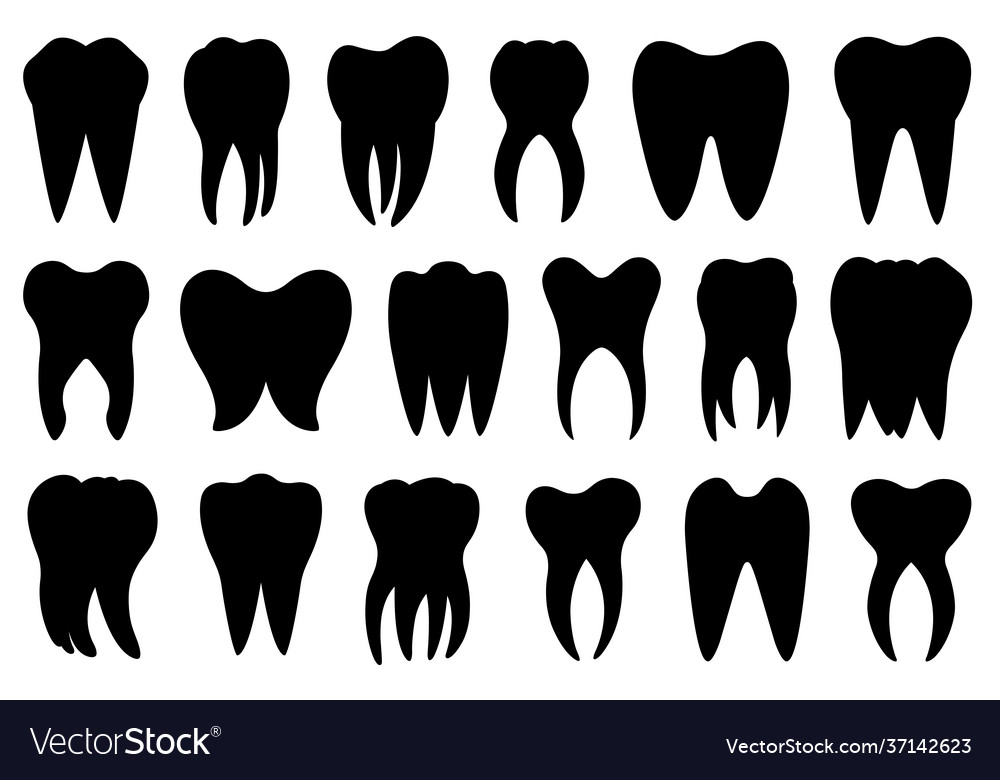 Set different teeth Royalty Free Vector Image - VectorStock
